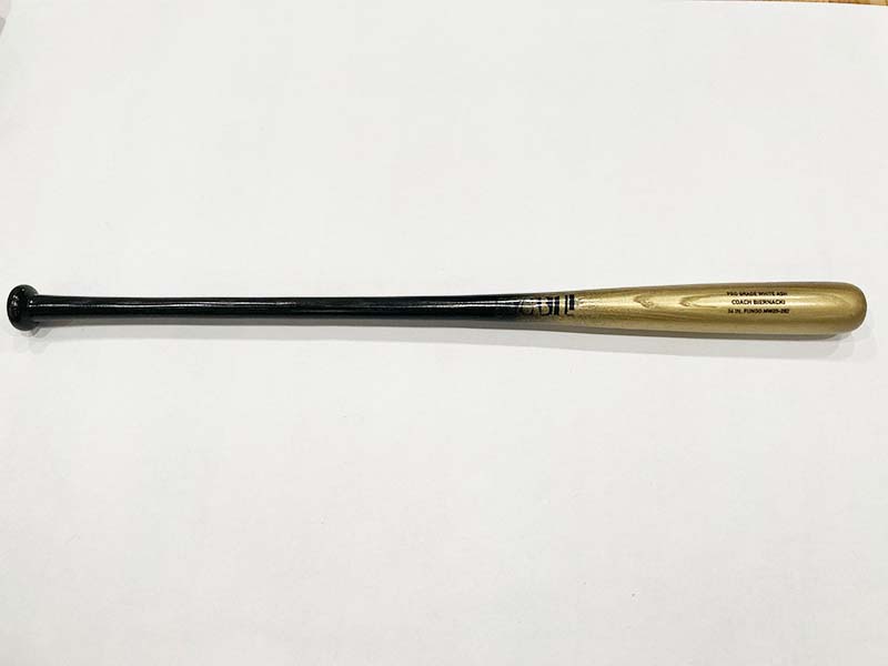 Razorbill Bats Custom Fungo